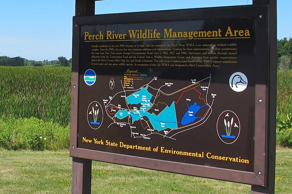 PERCH RIVER WILDLIFE MANAGEMENT AREA - Updated November 2024 - 30082 ...