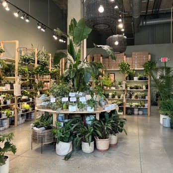 PLANTHOUSE - Updated October 2025 - 144 Photos & 61 Reviews - 3356 W ...