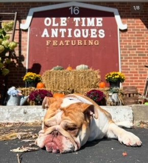 OLE’ TIME ANTIQUES - Updated May 2025 - 16 W Belvidere Rd, Hainesville ...