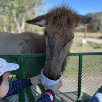 BAYOU WILDLIFE ZOO - Updated January 2026 - 349 Photos & 155 Reviews ...