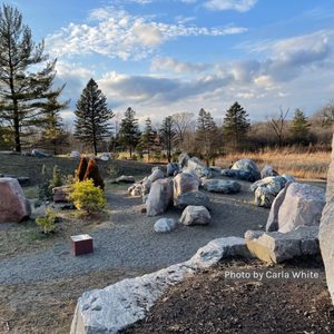 CARPENTER LAKE NATURE PRESERVE - 145 Photos & 41 Reviews - 10 Mile Rd ...