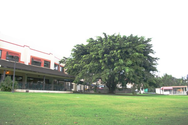 HOSPITAL SAN JUAN CAPESTRANO - Updated November 2025 - State Rd 877 Km ...