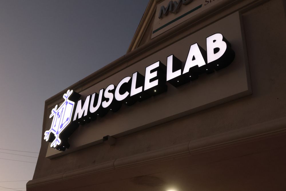 MUSCLE LAB - Updated December 2025 - 30 Photos & 28 Reviews - 12457 ...