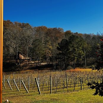 BEAR CLAW VINEYARDS - Updated January 2026 - 197 Photos & 108 Reviews ...