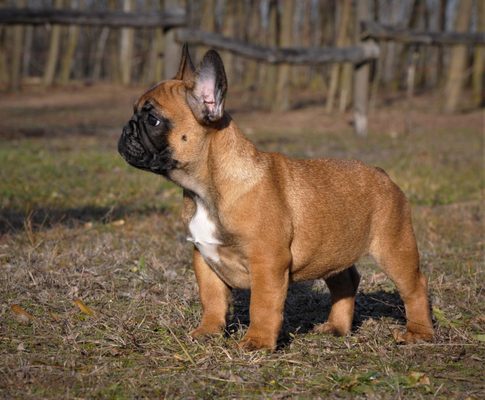 BUTTERFIELD ANIMAL HOSPITAL - Updated September 2025 - 119 Photos & 354 ...