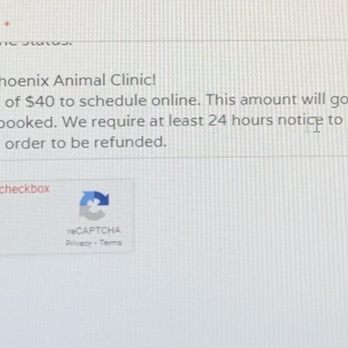 NORTH PHOENIX ANIMAL CLINIC - Updated May 2025 - 49 Photos & 130 ...