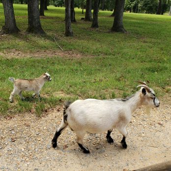 JACKSON LAKE ISLAND - Updated January 2026 - 56 Photos & 15 Reviews ...