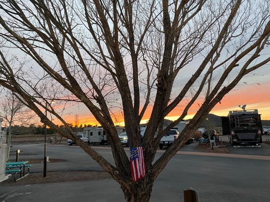 GRAND CANYON RAILWAY RV PARK - Updated November 2024 - 90 Photos & 118 ...