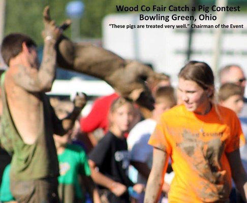 WOOD COUNTY FAIR - Updated June 2026 - 19 Photos - 13800 W Poe Rd ...