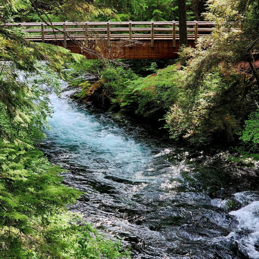 MCKENZIE RIVER NATIONAL RECREATIONAL TRAIL - Updated October 2025 - 112 ...