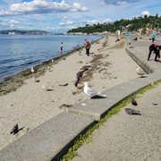 ALKI BEACH PARK - 1216 Photos & 366 Reviews - 2665 Alki Ave SW, Seattle ...