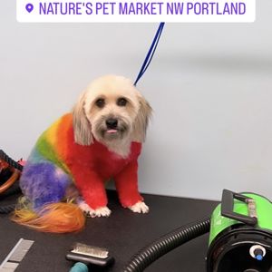 PETS ON BROADWAY - Updated July 2025 - 120 Photos & 261 Reviews - 2762 ...