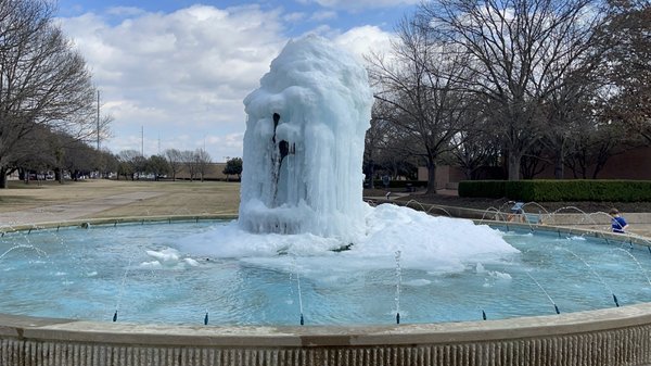 RICHARDSON PUBLIC LIBRARY - Updated February 2025 - 58 Photos & 46 ...