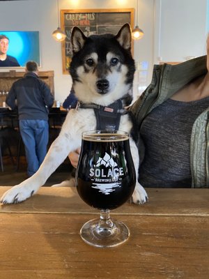 SOLACE BREWING COMPANY - 186 Photos & 110 Reviews - 42615 Trade W Dr ...