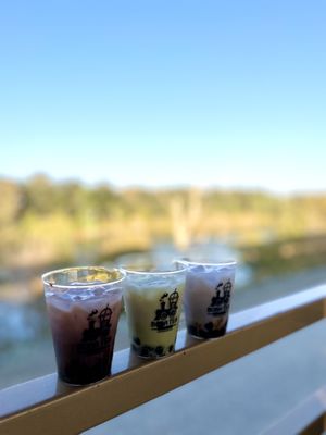 RIVER FOX TRAIN - Updated October 2025 - 449 Photos & 236 Reviews ...