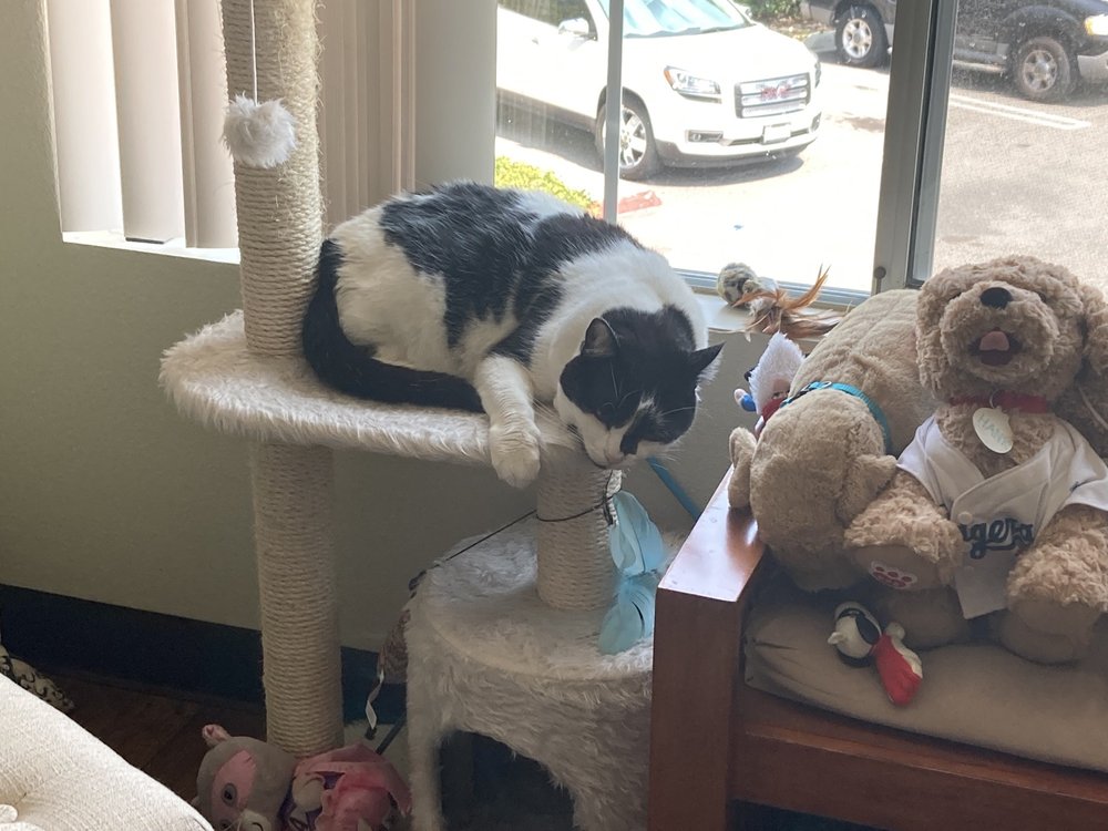 SHEMIN RICHARD MD - Updated October 2025 - 88 E Newton St, Roxbury ...