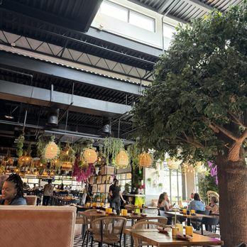 VIDA COCINA & TEQUILA - Updated July 2024 - 875 Photos & 246 Reviews ...