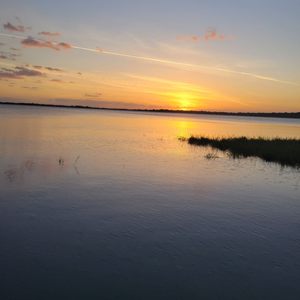 RED WING RESTAURANT - 76 Photos & 106 Reviews - 12500 State Rd 33 ...