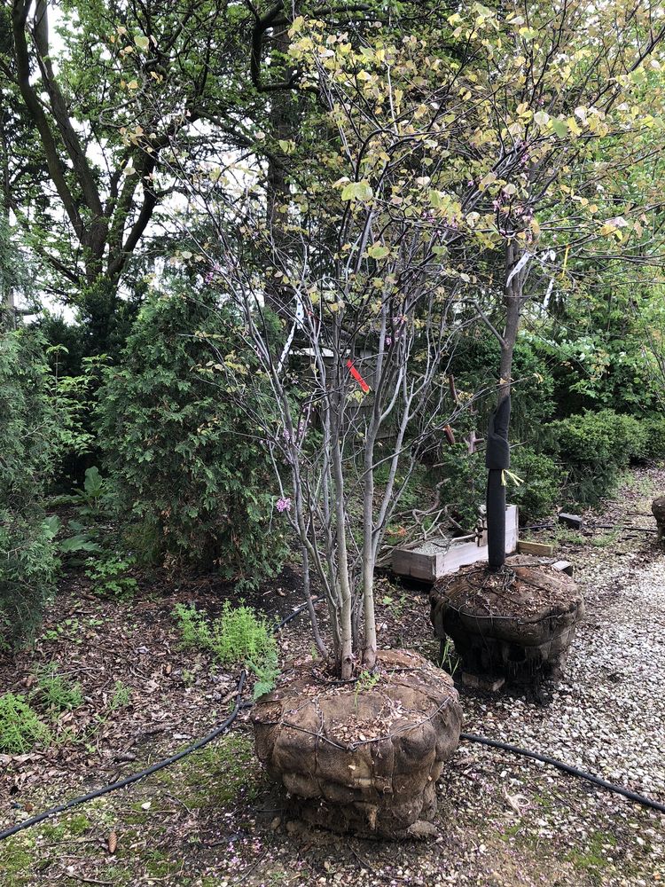 THE HIDDEN GARDENS - Updated December 2025 - 19 Photos & 15 Reviews ...