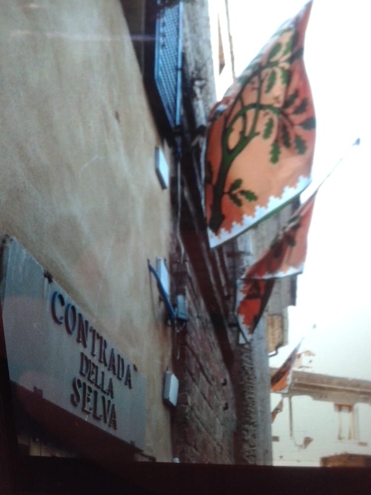 CONTRADA DELLA SELVA - P.tta Della Selva, 4, Siena, Italy - Museums ...