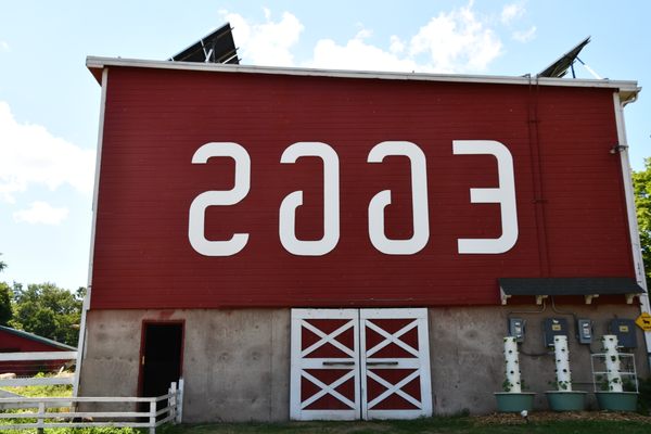 FLAMIG FARM - Updated May 2024 - 201 Photos & 63 Reviews - 7 Shingle ...