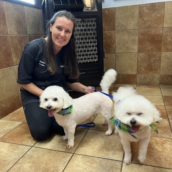 PETSMART - Updated January 2026 - 242 Photos & 125 Reviews - 500 N ...