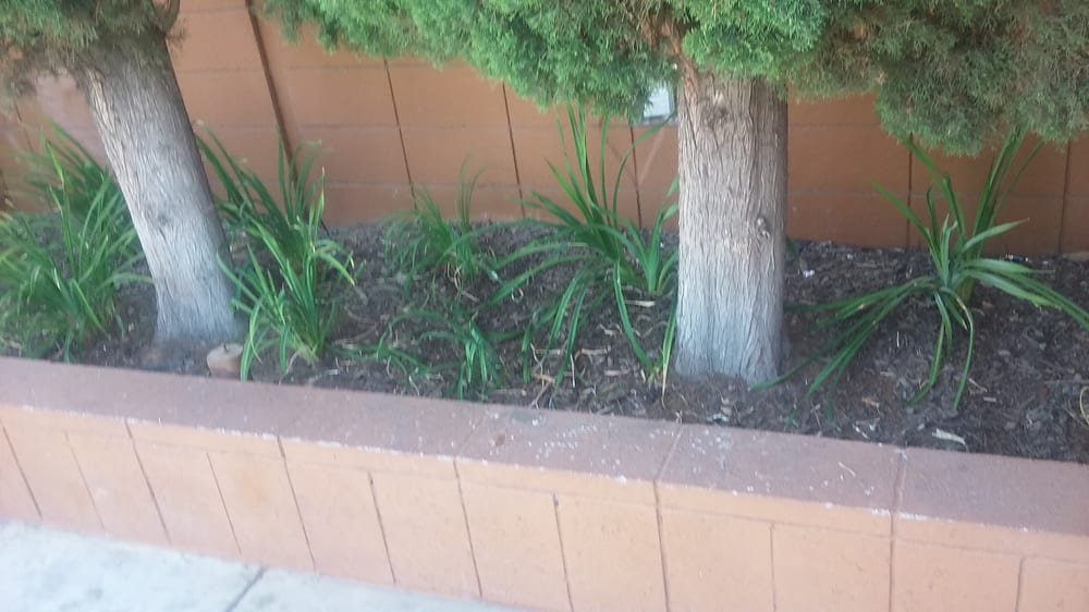 HANKS LAWN CARE - Updated April 2024 - Bakersfield, California ...