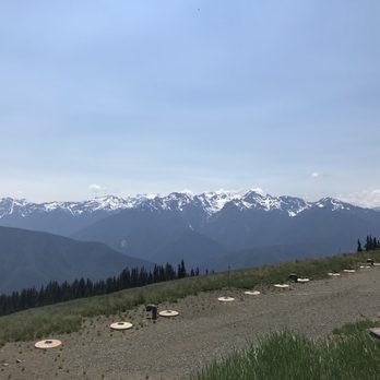 HURRICANE RIDGE - Updated July 2025 - 463 Photos & 104 Reviews - 600 E ...