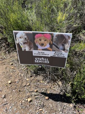 LAKE POWAY PARK - Updated January 2025 - 808 Photos & 139 Reviews ...