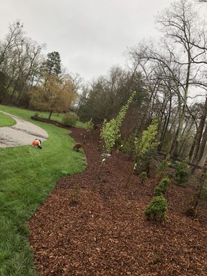 OCAMPO LANDSCAPING & TREE SERVICE - Updated December 2024 - 27 Photos ...