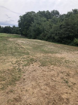 THE LYMAN ORCHARDS GOLF CLUB - Updated August 2024 - 51 Photos & 31 ...
