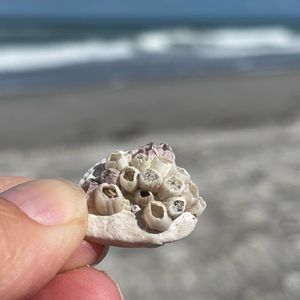 FROGBONES FAMILY SHOOTING CENTER - Updated December 2025 - 55 Photos ...