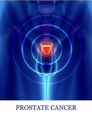 GRIFFITH UROLOGY - Updated September 2025 - 575 S Wickham Rd, Melbourne, Florida - Urologists ...