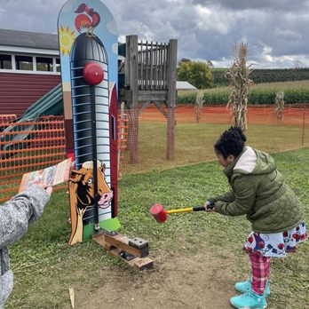 TRIPLE B FARMS - Updated July 2025 - 193 Photos & 71 Reviews - 823 ...