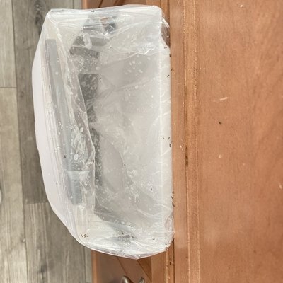 PRO ACTIVE PEST CONTROL - Updated March 2025 - 29 Photos & 207 Reviews ...