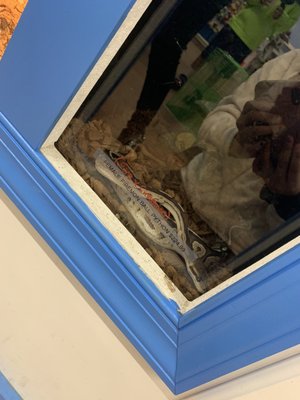 QUAKERTOWN FARMERS MARKET - Updated February 2025 - 90 Photos & 88 ...