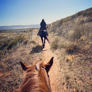 SUSIE Q RANCH - 197 Photos & 155 Reviews - 28330 Mary Pl, Murrieta ...