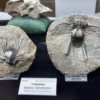 CRATER ROCK MUSEUM & GIFT SHOP - Updated October 2025 - 44 Photos & 27 ...