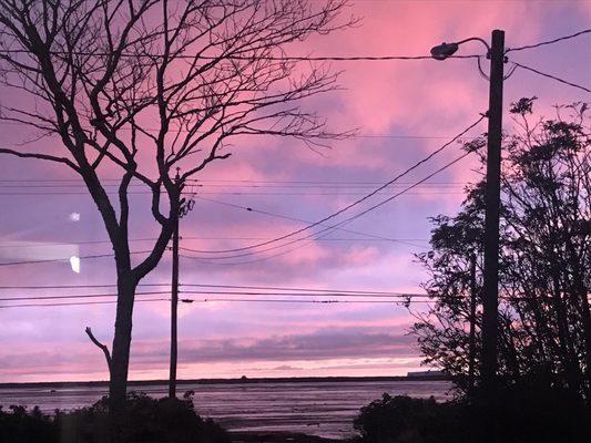 WILD CARAWAY RESTAURANT & CAFE - Updated January 2026 - 15 Photos & 36 ...