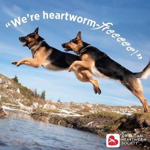 PETS R’INN - Updated June 2025 - 2800 S Columbia Rd, Grand Forks, North ...