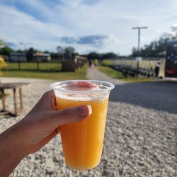 CRAZY DINGO BREWING - TEMP. CLOSED - Updated December 2025 - 130 Photos ...