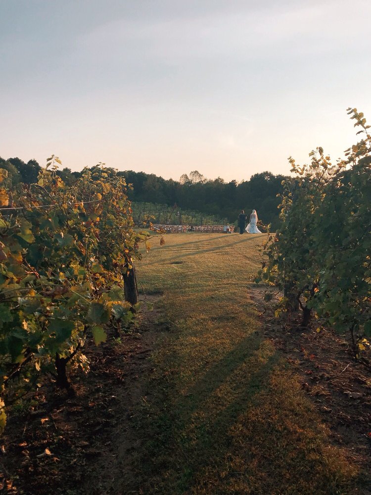 SHADE WINERY - 40 Photos & 36 Reviews - 401 Gilkey Ridge Rd, Shade ...