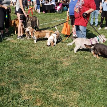 JOHNSON-SPRINGVIEW PARK - Updated December 2025 - 78 Photos & 34 ...