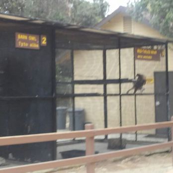 SAN DIMAS CANYON NATURE CENTER - Updated January 2025 - 50 Photos & 16 ...