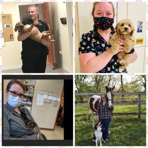 UNDERDOG PET RESCUE OF WISCONSIN - Updated December 2025 - 11 Reviews - 2508 S Stoughton Rd ...