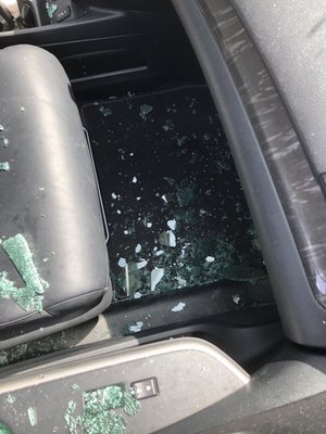 UNIVERSAL AUTO GLASS - Updated January 2026 - 18 Photos & 137 Reviews ...