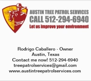 AUSTIN TREE PATROL SERVICES - Updated April 2024 - 37 Photos & 50 ...