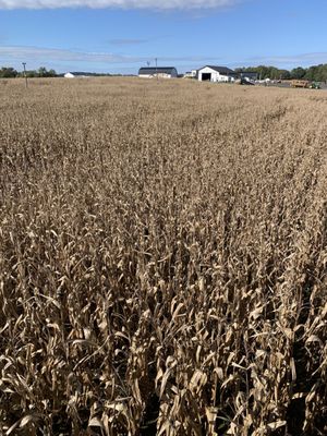 BOWLES FARM - Updated September 2024 - 57 Photos & 11 Reviews - 22880 ...