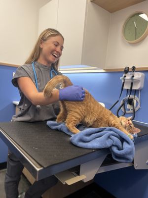 MODERN ANIMAL - Updated October 2025 - 20 Photos & 50 Reviews - 1100 S ...