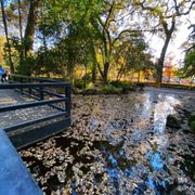 MICKE GROVE PARK - 119 Photos & 52 Reviews - 11793 N Micke Grove Rd ...